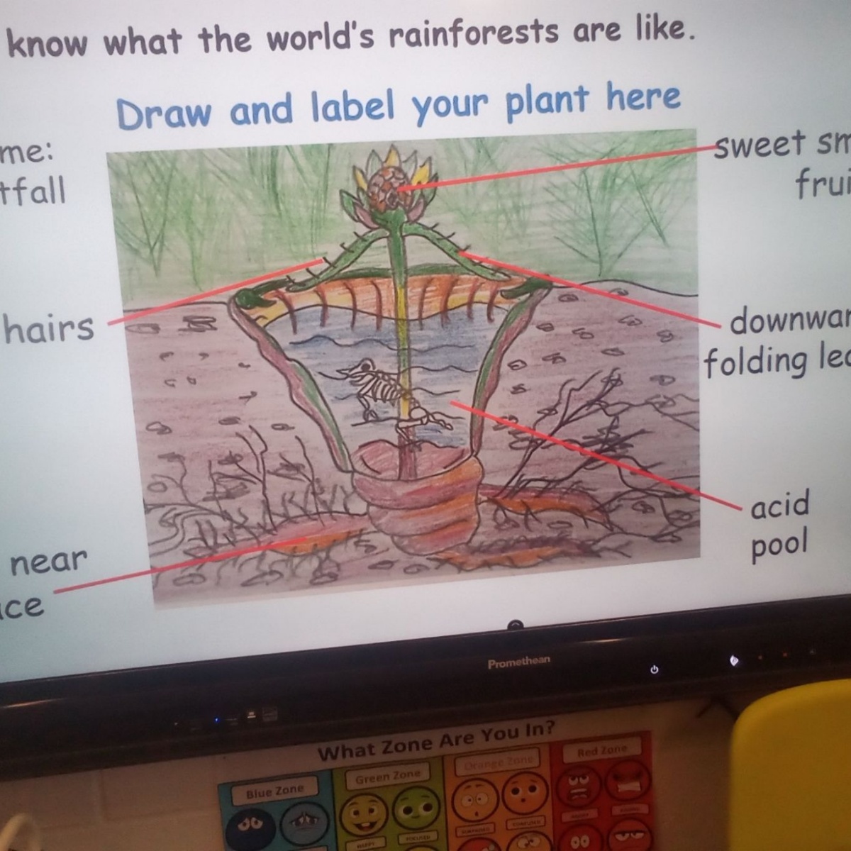 Beech Academy - Nurture 2 Humanities